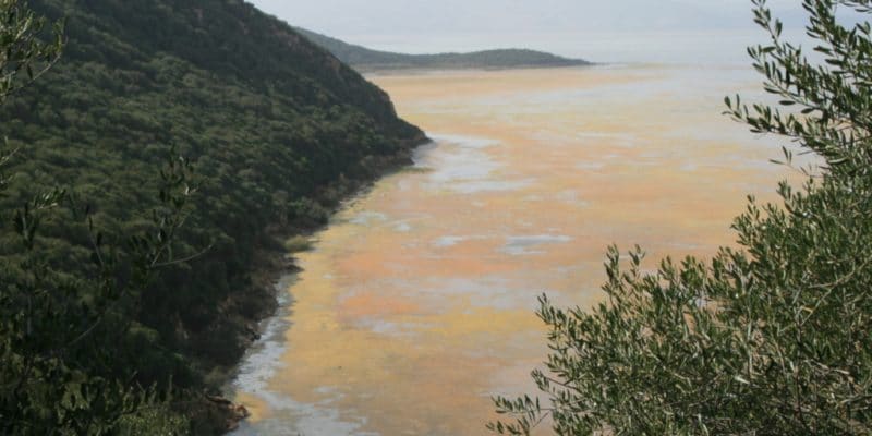 Bizerte Lake Environmental Project | INMS